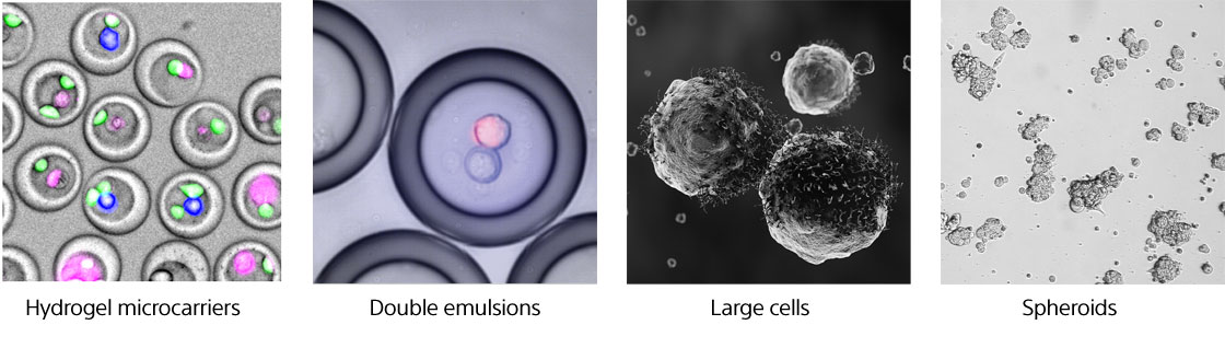 MA900 and SH800 Cell Sorters - Large Particle Sorting